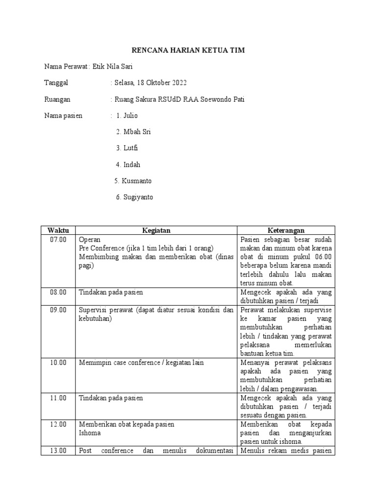 Rencana Harian Ketua Tim | PDF