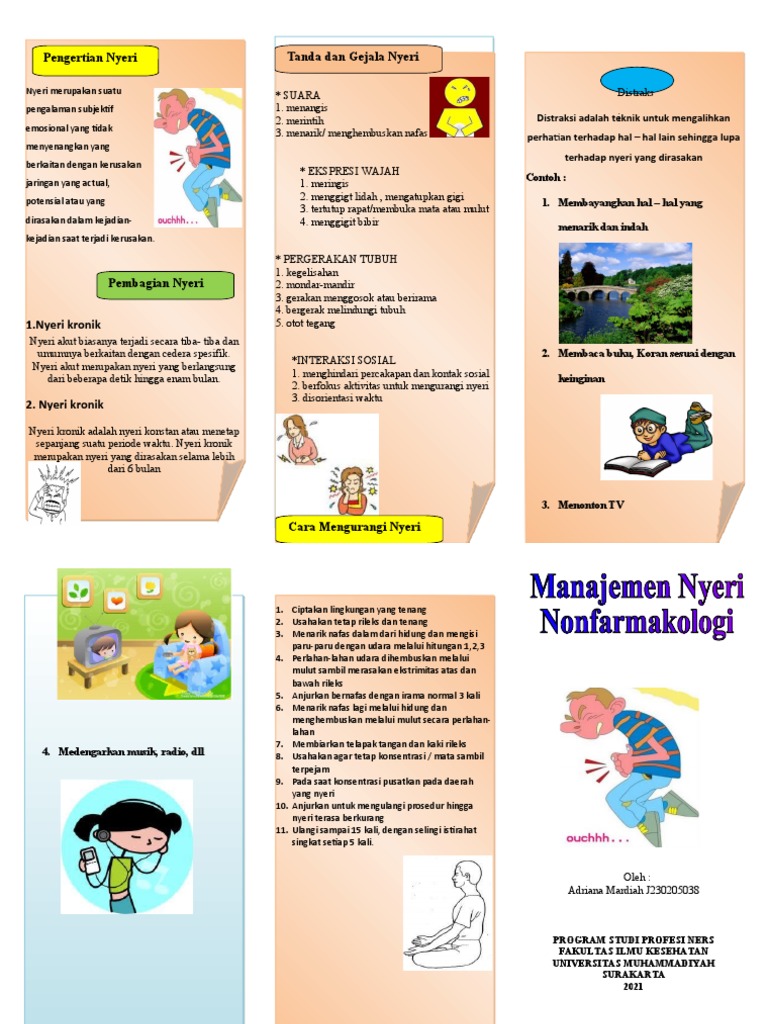 Leaflet Manajemen Nyeri Gerontik | PDF