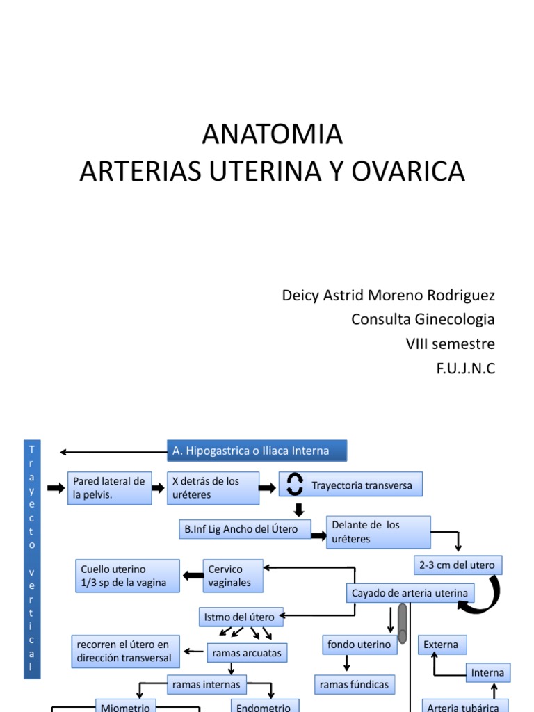 Arterias Uterina y Ovarica