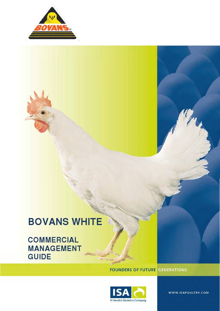 General Management Guide Commercials Bovans White | PDF | Beak | Birds