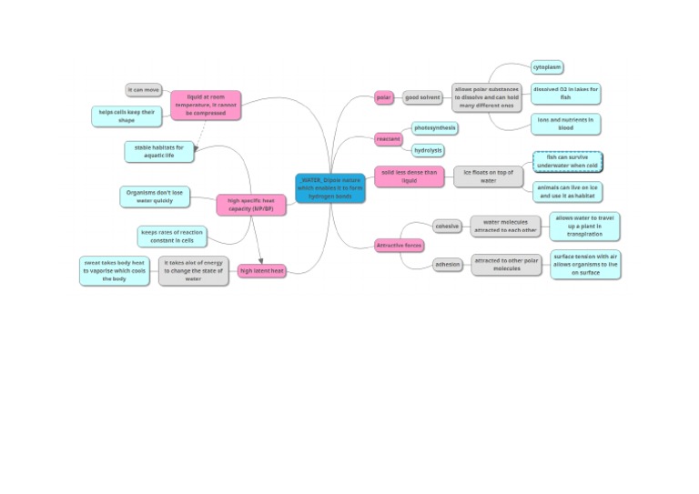 Properties of Water Mind Map | PDF