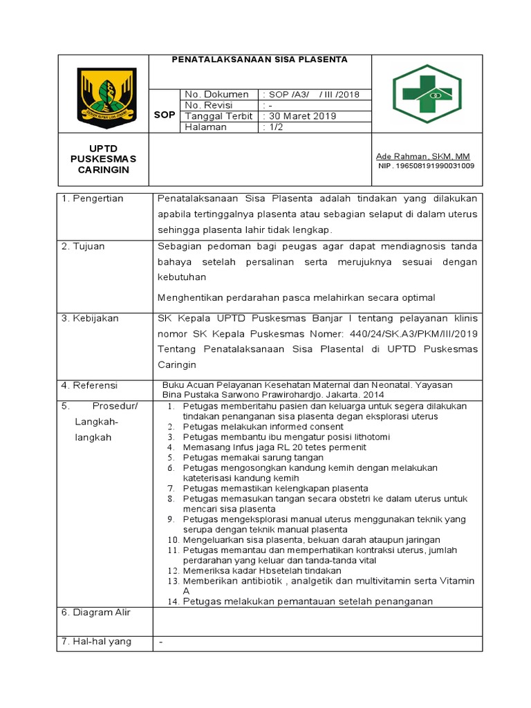 Penatalaksanaan Sisa Plasenta Pasca Melahirkan | PDF