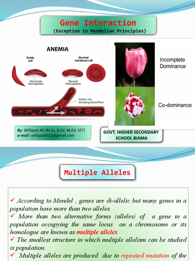 Gene Interaction | PDF | Allele | Dominance (Genetics)