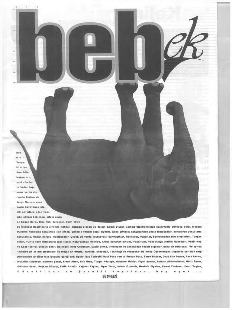 Bebek | PDF