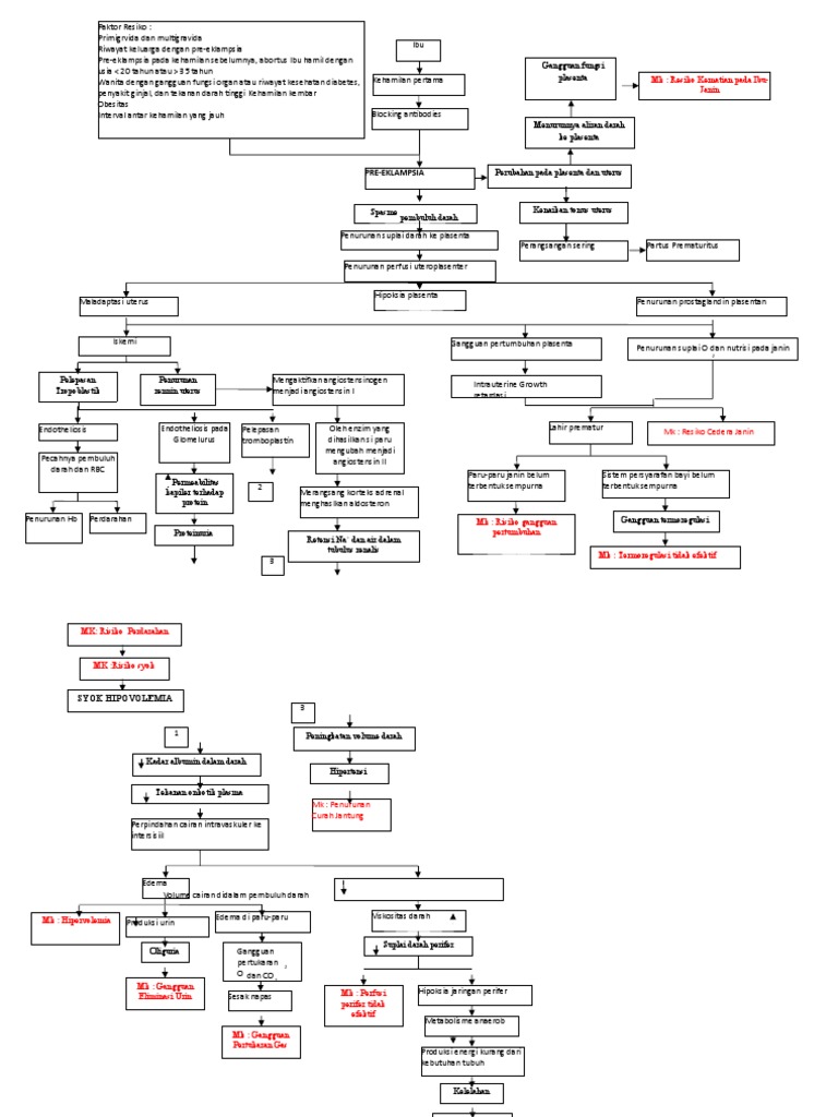 Pathway Preeklampsia pada Ibu Hamil | PDF
