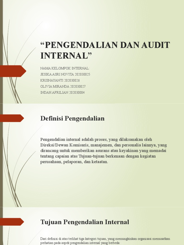Audit Internal | PDF