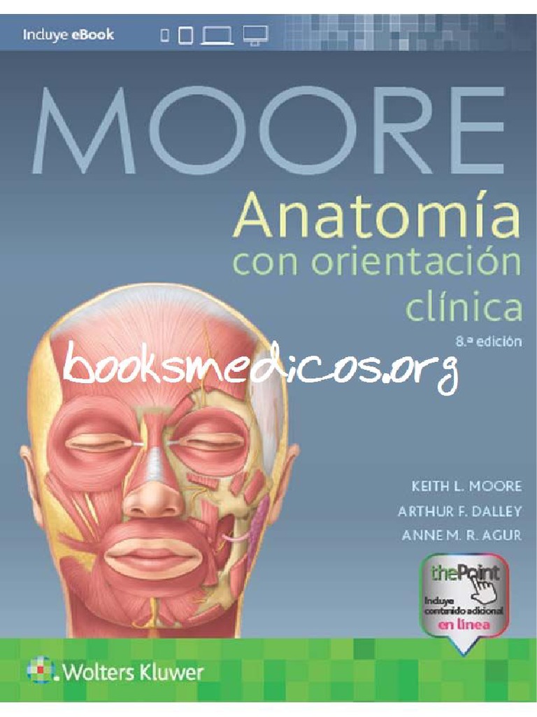 Moore Anatomía Clínica | PDF