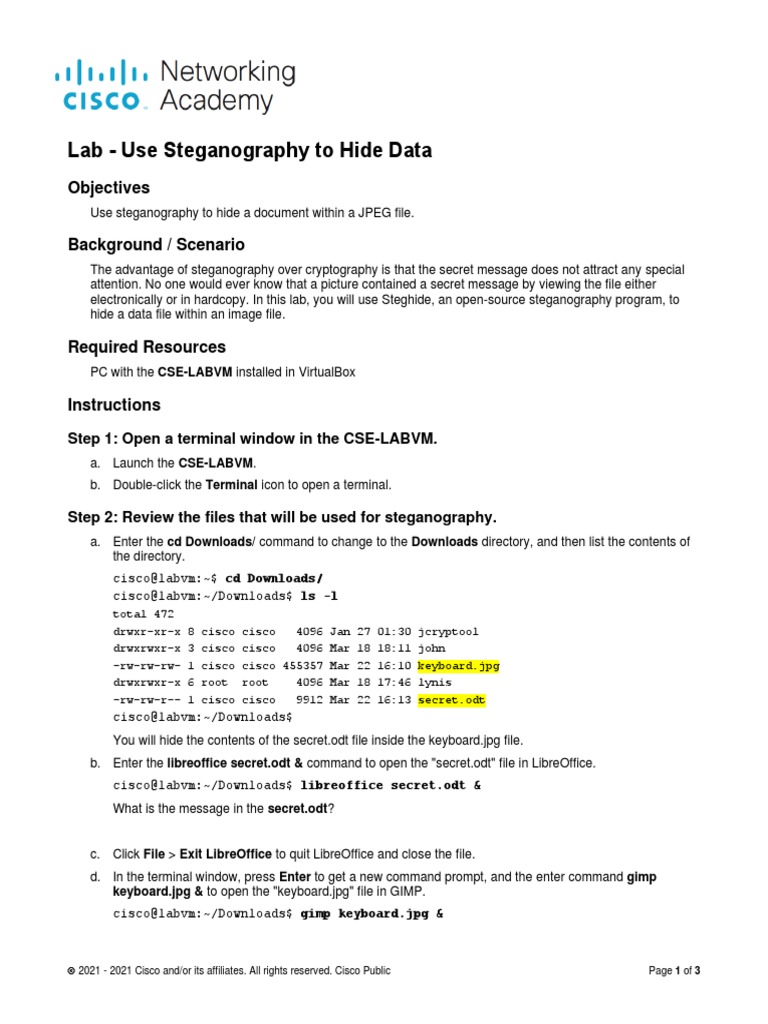 2.7.3 Lab Use Steganography To Hide Data Answer Key | PDF | Computer File | Computer Science