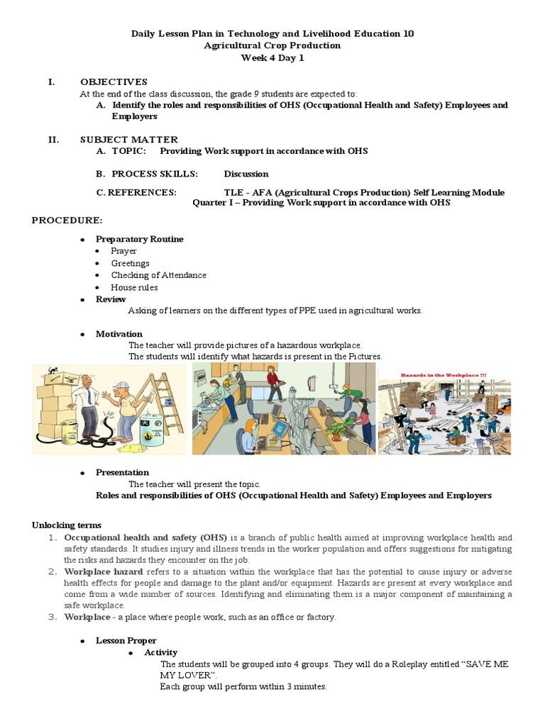 Daily Lesson Plan in Technology and Livelihood Education 10 ...