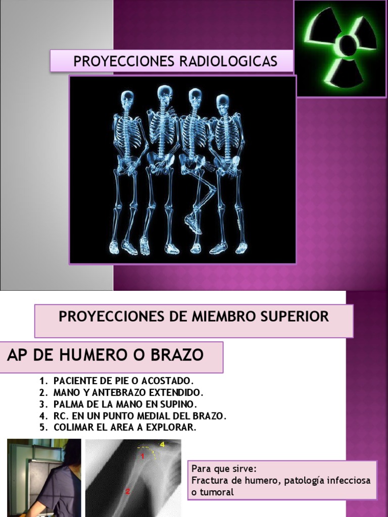 Proyecciones Radiologicas (Primera Parte) | PDF | Mano | Articulaciones