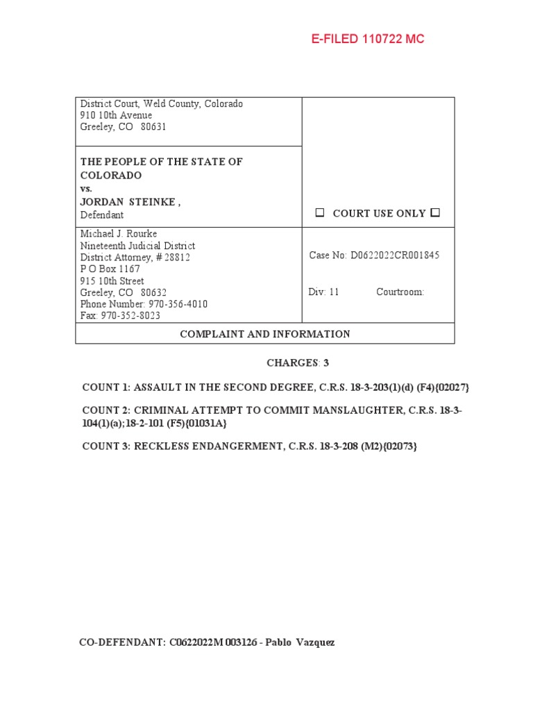 Jordan Steinke Charging Documents | PDF