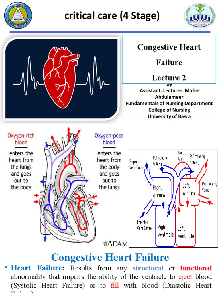 Congestive Heart Failure | PDF | Heart Failure | Heart