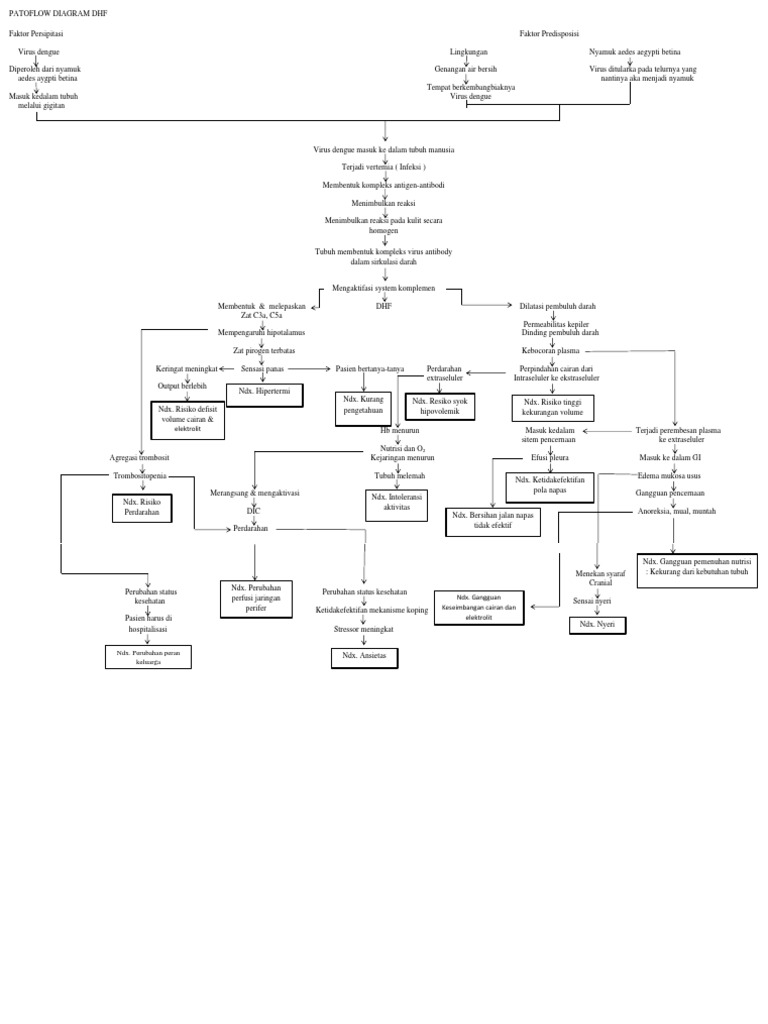 Patoflow Diagram DHF | PDF