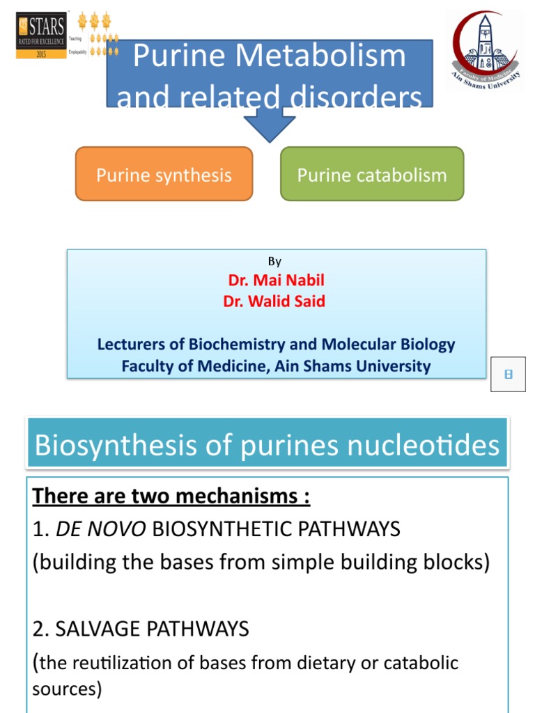 Purine Metabolism | PDF | Biosynthesis | Nucleotides
