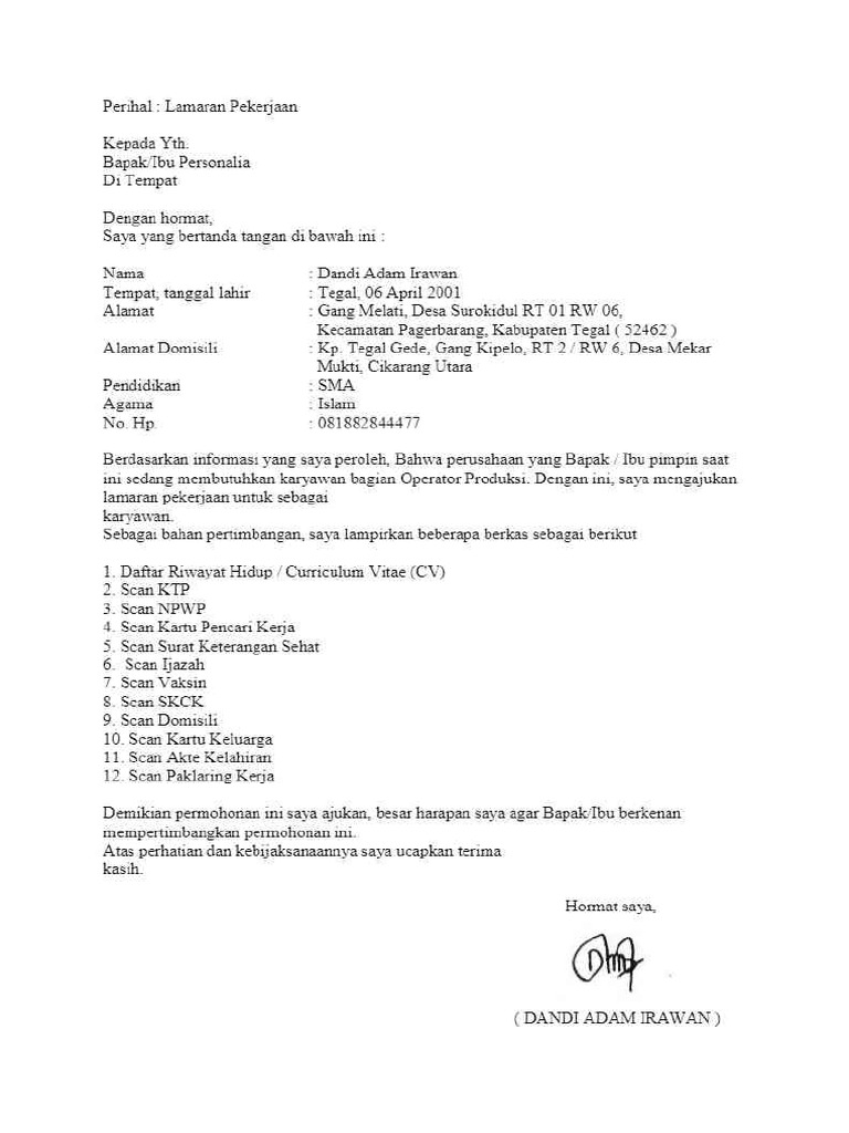 CV Dandi Adam Irawan 22 | PDF