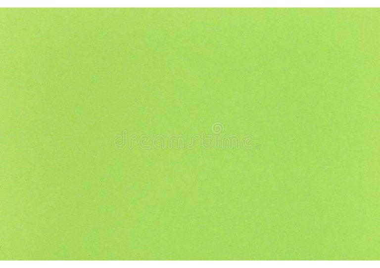 Green Paper | PDF