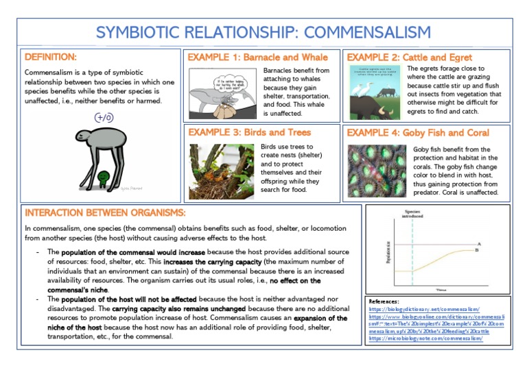 Commensalism Handout | PDF | Symbiosis | Biology