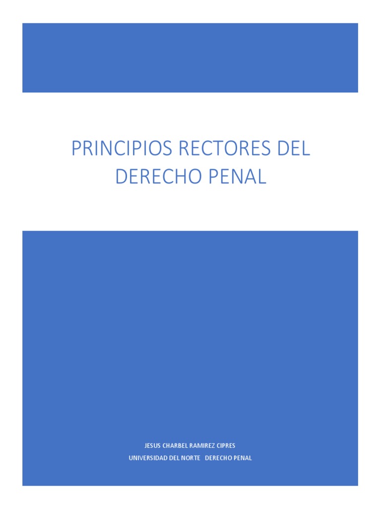 Principios Rectores Del Derecho Penal Pdf Derecho Penal Estado