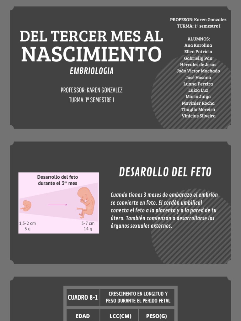 Del Tercer Mes Al Nascimento | PDF | Placenta | Parto