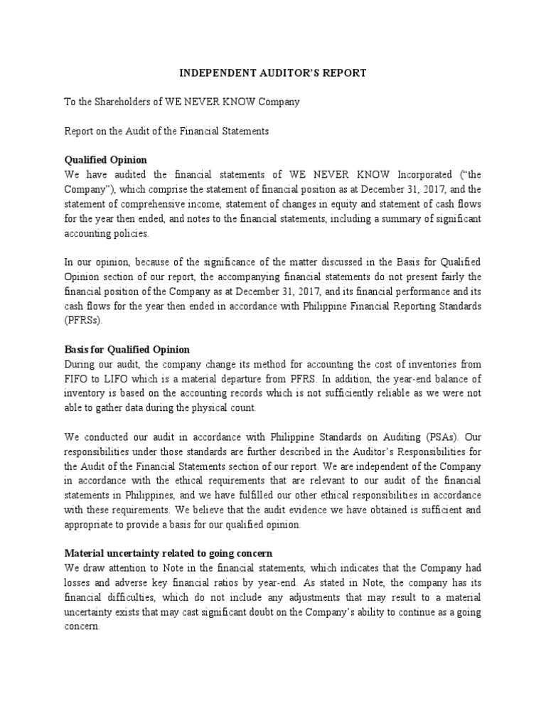 Audit Report | PDF | Going Concern | Financial Audit