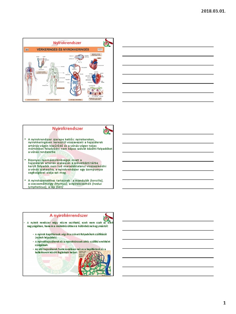 Modul Jegyzet PDF | PDF