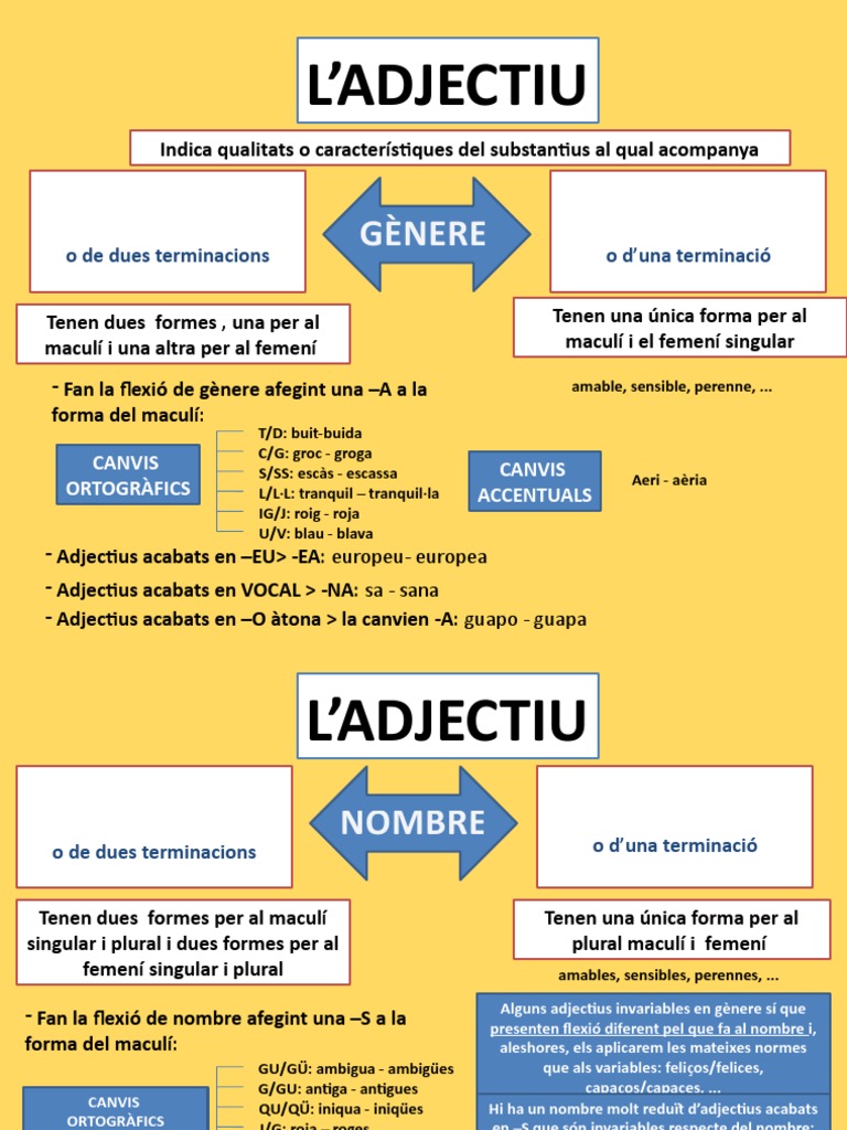El Gènere I El Nombre Dels Adjectius | PDF