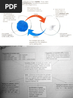 Understanding Double Salts in Chemistry | PDF | Salt (Chemistry) | Ligand
