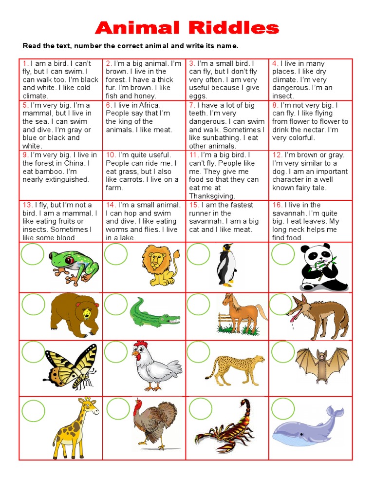 Animal Riddles Fun Activities Games Oneonone Activities Reading C ...