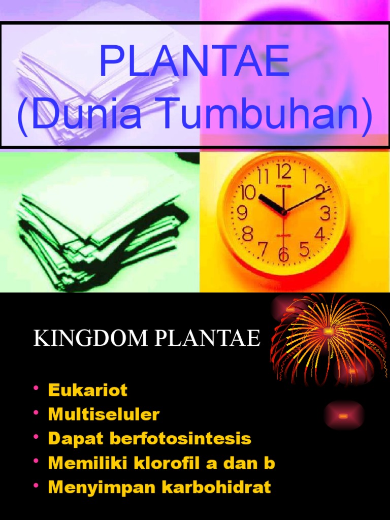 Klasifikasi dan Ciri Tumbuhan Plantae | PDF