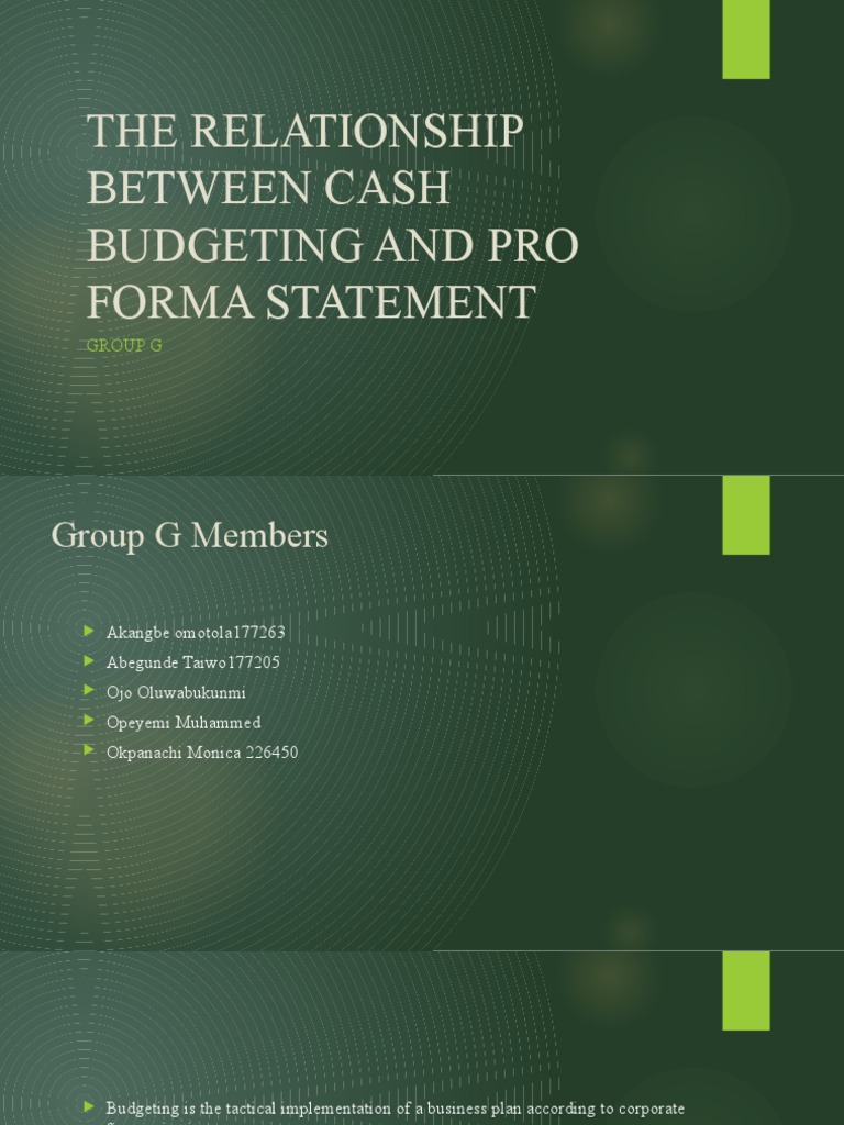 Pro Forma Statement | PDF | Budget | Pro Forma