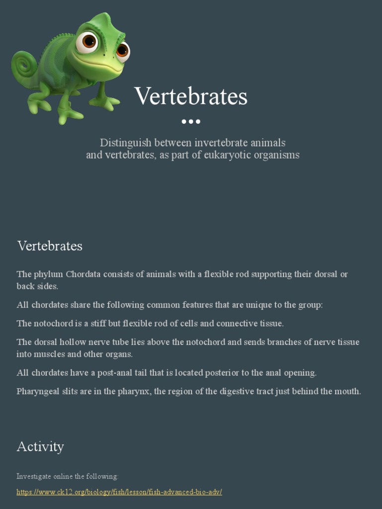 Vertebrates | PDF