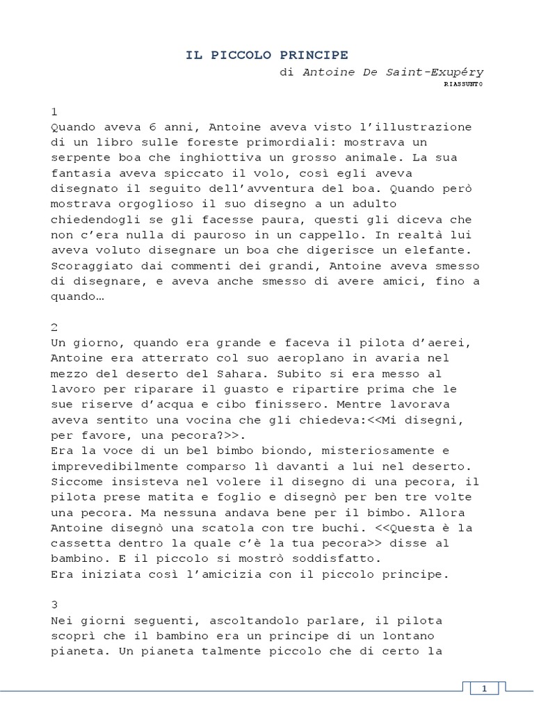 Riassunto Piccolo Principe | PDF