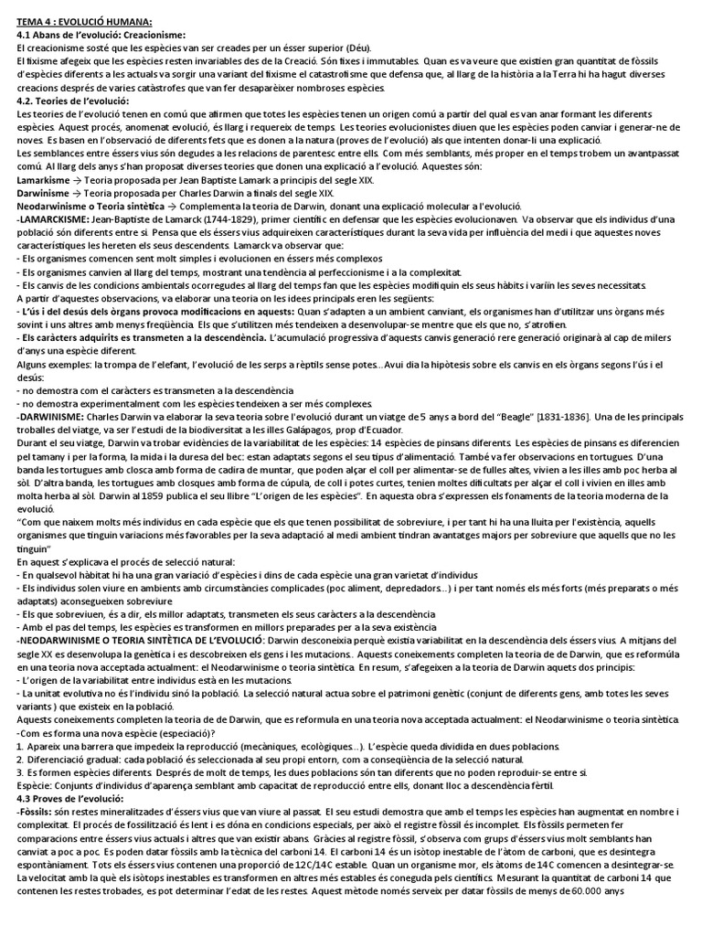 Examen CMC Tema 4 | PDF