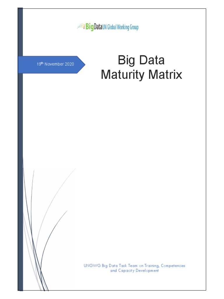 Big Data Maturity Matrix v1.0 | PDF | Big Data | Intellectual Property