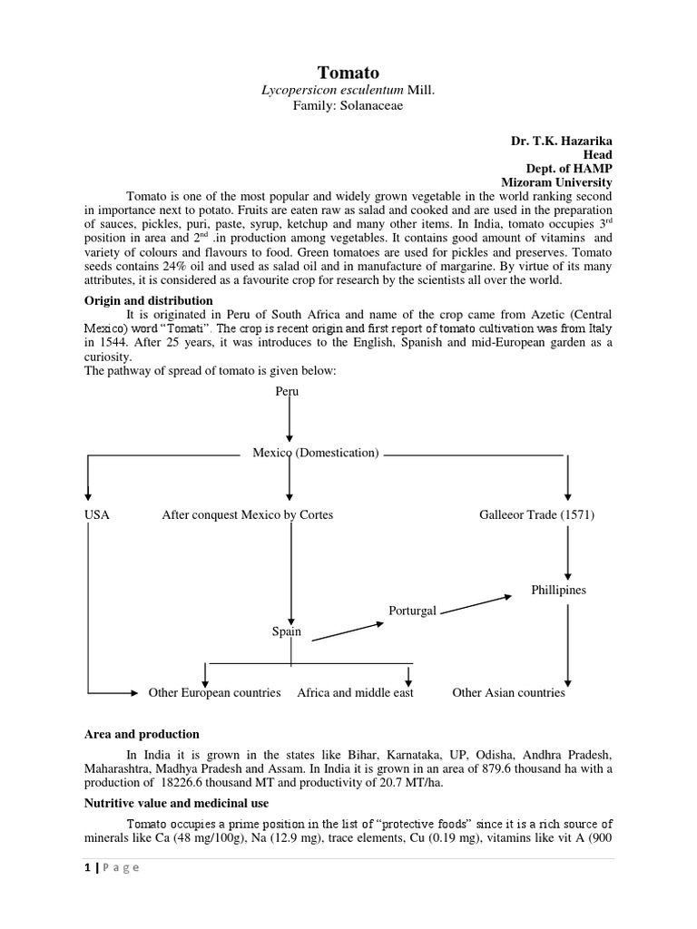 Tomato Cultivation Practices | PDF | Tomato | Botany