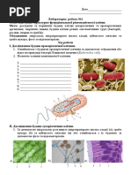 birth-certificate-00146059599-16-11-25_12-59-08.pdf | PDF