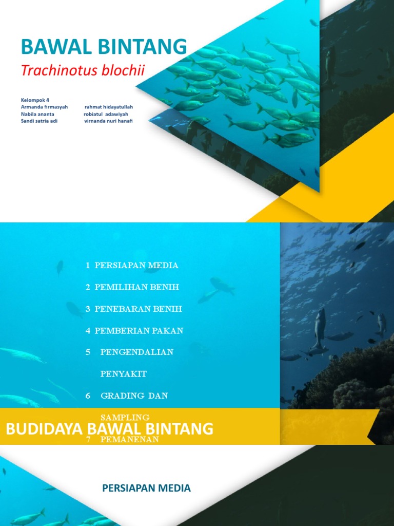 Bawal Bintang | PDF