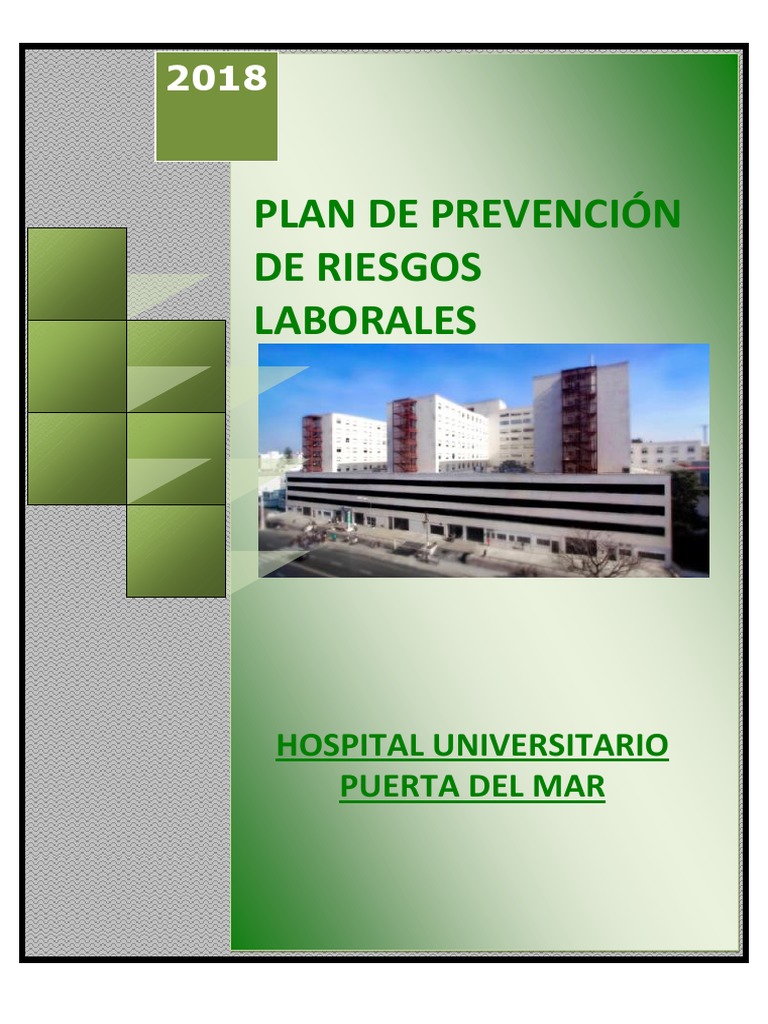 Ejemplo de Plan de PRL | PDF | Hospital | Medicina de Cuidados Intensivos