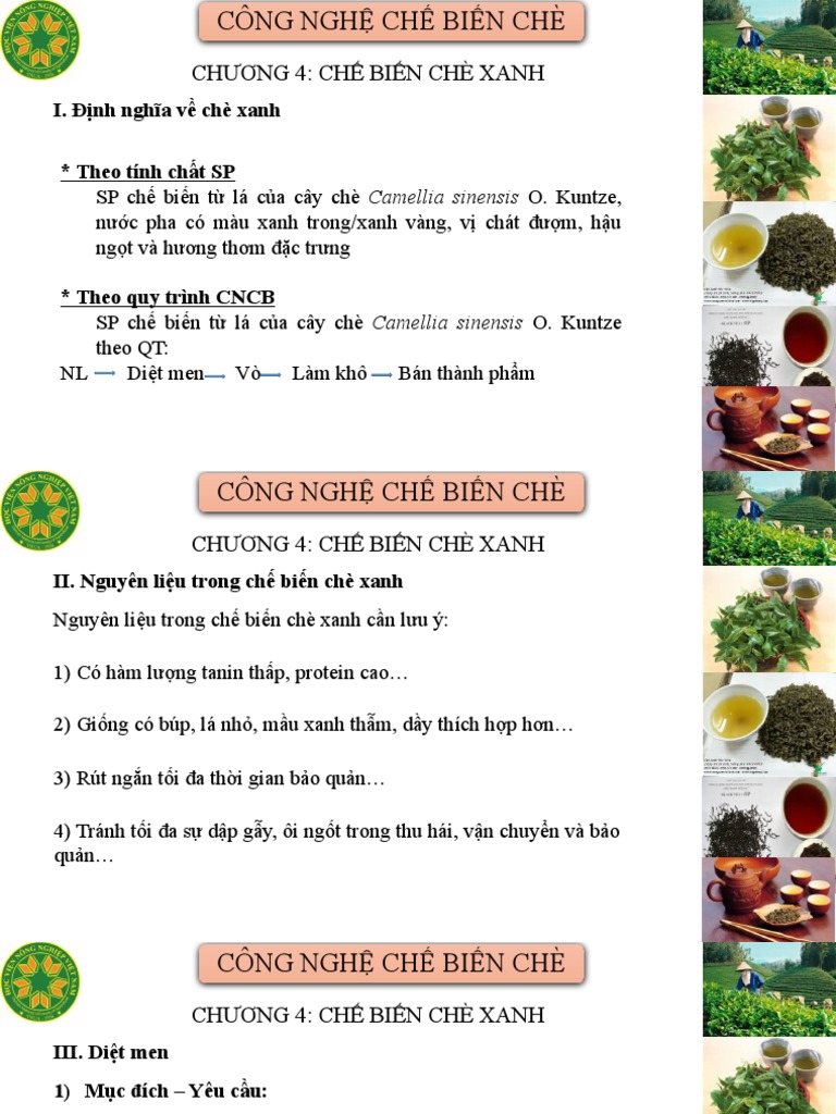 Green Tea Processing | PDF