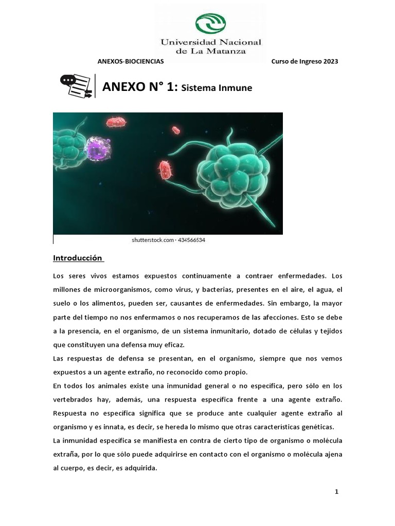 Anexo N - 1 Sistema Inmunitario | PDF | Sistema inmune | Linfocitos