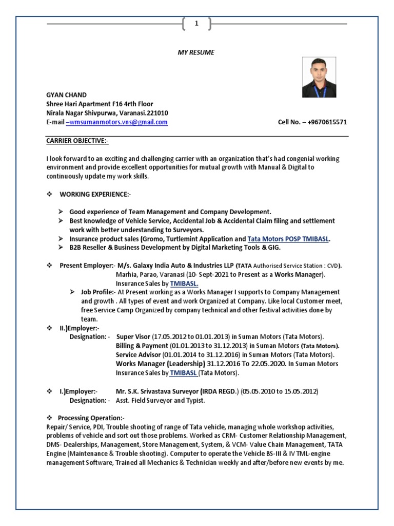 MYRESUMEGYAN2022 | PDF | Online And Offline | Business