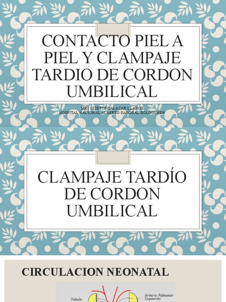 Contacto Piel A Piel y Clampaje Tardio de Cordon | PDF | Amamantamiento ...