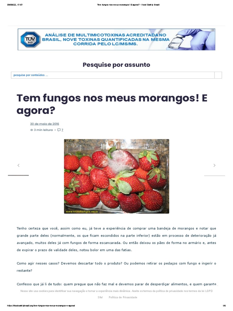 Tem Fungos Nos Meus Morangos! E Agora - Food Safety Brazil | PDF ...