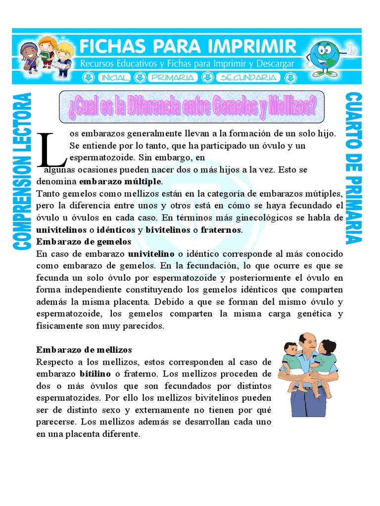 Comprencion Lectora | PDF