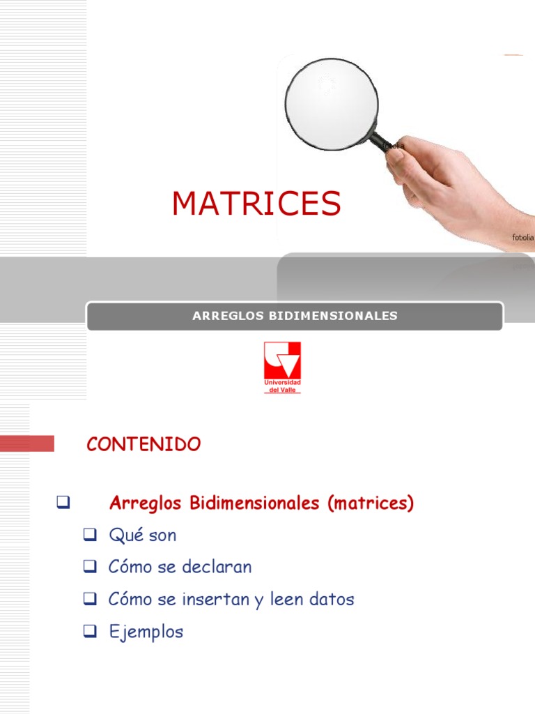 Una introducción a las matrices y sus aplicaciones básicas | PDF | Matriz (Matemáticas ...