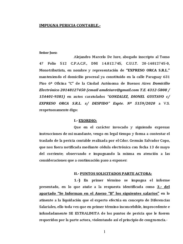 Impugnacion Puntos de Pericia Contable. Modelo | PDF | Sentencia (ley ...