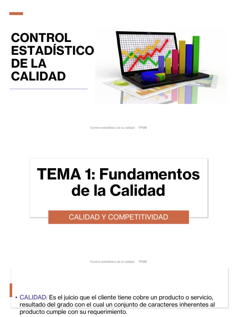 Calidad y Competitividad - 1 | PDF | Calidad (comercial) | Business