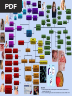 Bitacora de Traslado | PDF | Cuidado de la salud | Ciencias de la Salud