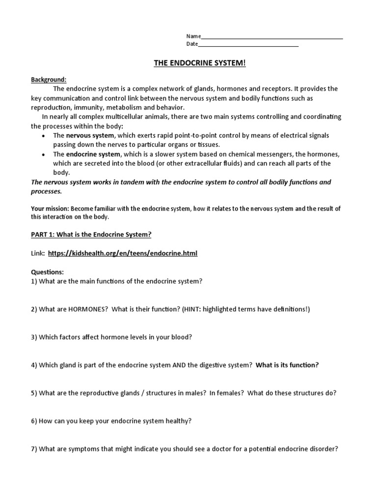 Endocrine System Research Task | PDF | Hormone | Endocrine System