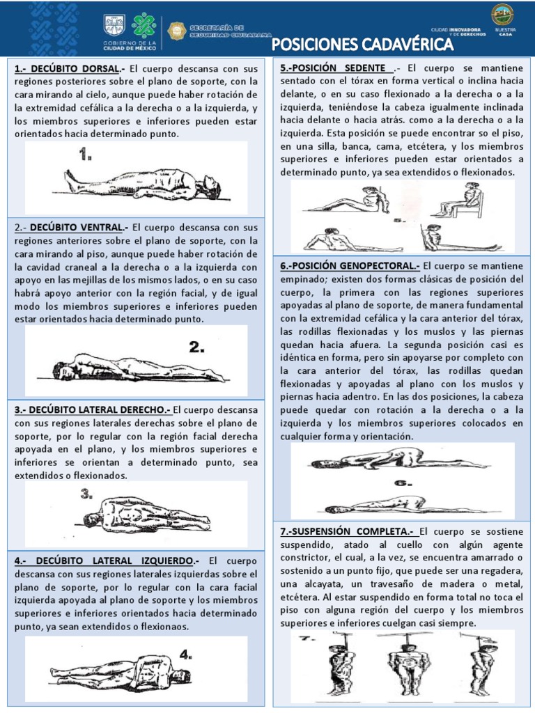 Tipos de Posiciones Cadavéricas | PDF | Términos anatómicos de ubicación